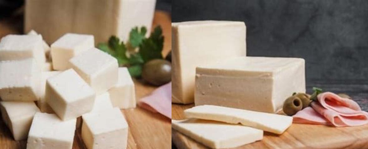 Queso Fresco vs Queso Blanco: Which One Will Satisfy Your Cheese ...