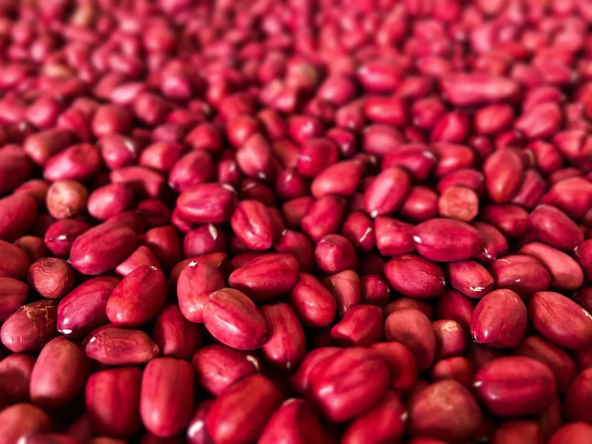 Red Bean vs Kidney Bean: Which Legume Reigns Supreme in the Culinary ...