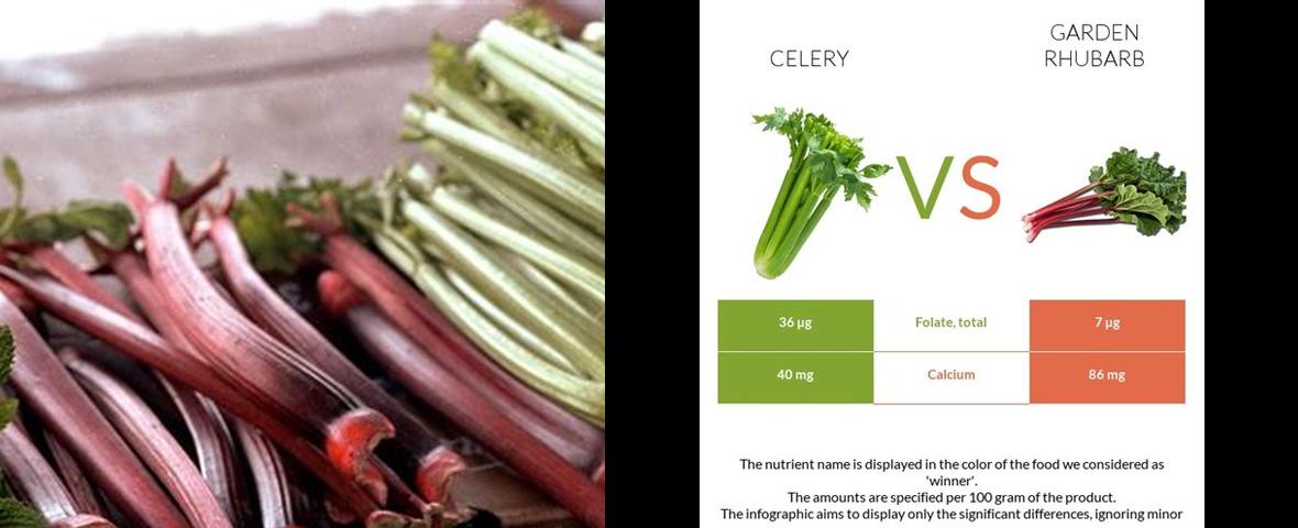 Rhubarb vs Celery: Which Stalk Reigns Supreme in the Kitchen? – Fleur ...