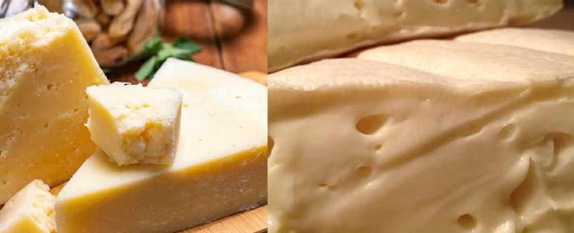 What are the Best Robiola Cheese Substitutes? Find Out Here! – Fleur de ...