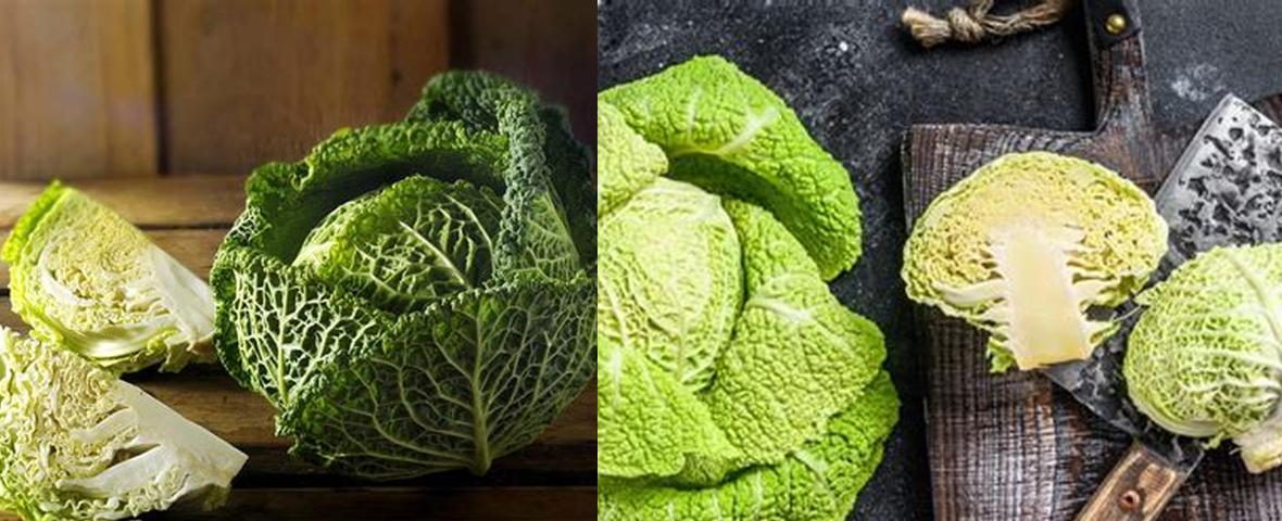 Savoy Cabbage vs Green Cabbage: Which One Reigns Supreme in the Kitchen ...
