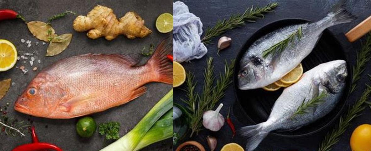 Sea Bream vs Snapper: Which Ocean Delight Reigns Supreme in Taste and ...