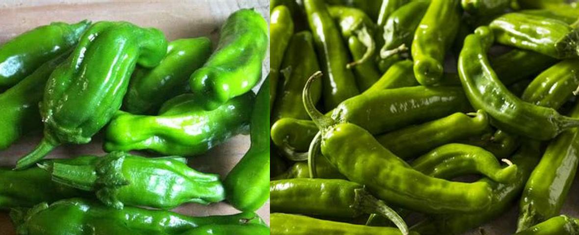 What Are the Best Shishito Pepper Substitutes? Uncover Flavorful ...