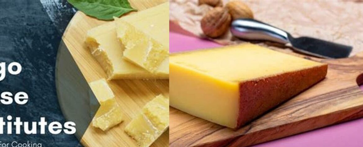 What Are the Best Substitutes for Asiago Cheese? – Fleur de Sel Gourmet ...