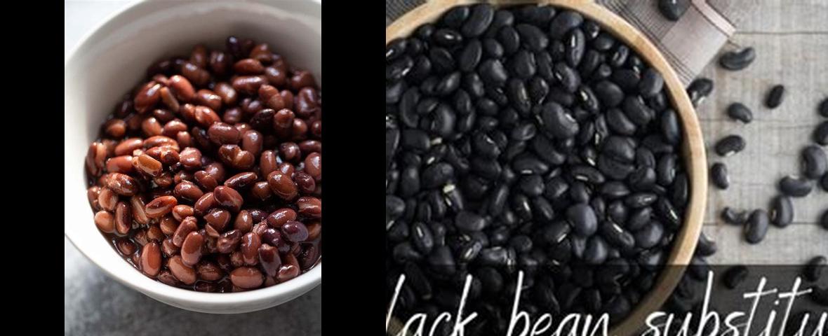 What Can You Use as a Substitute for Black Beans? – Fleur de Sel ...