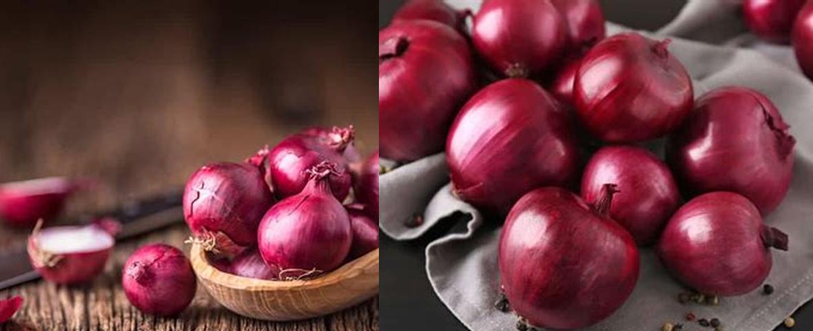 What Are the Best Substitutes for Red Onion in Your Culinary Adventures ...
