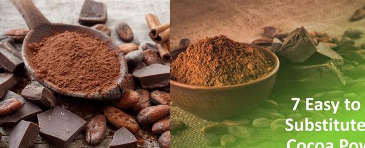 What Are the Best Substitutes for Cocoa Powder? Satisfy Your Chocolate ...