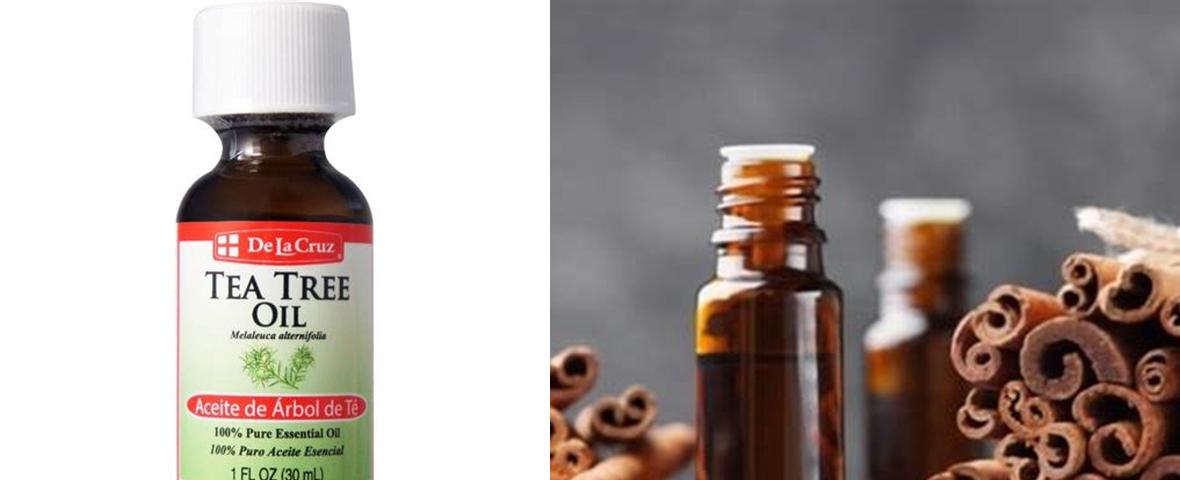 What Are the Best Tea Tree Oil Substitutes? Discover Natural ...