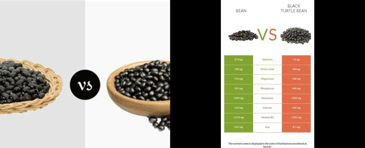 Turtle Beans vs Black Beans: Which Bean Variety Reigns Supreme? – Fleur ...