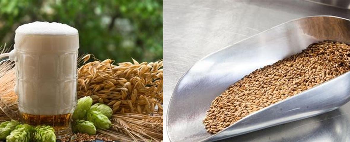 What Are the Best Alternatives for Victory Malt in Homebrewing? – Fleur ...