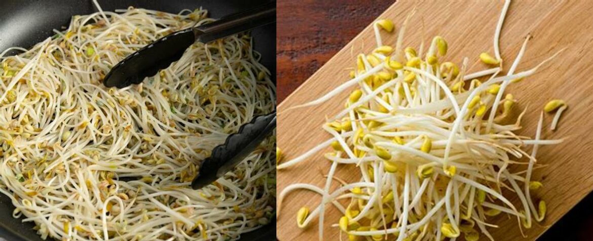 What Do Bean Sprouts Taste Like? Discover the Culinary Delight and ...