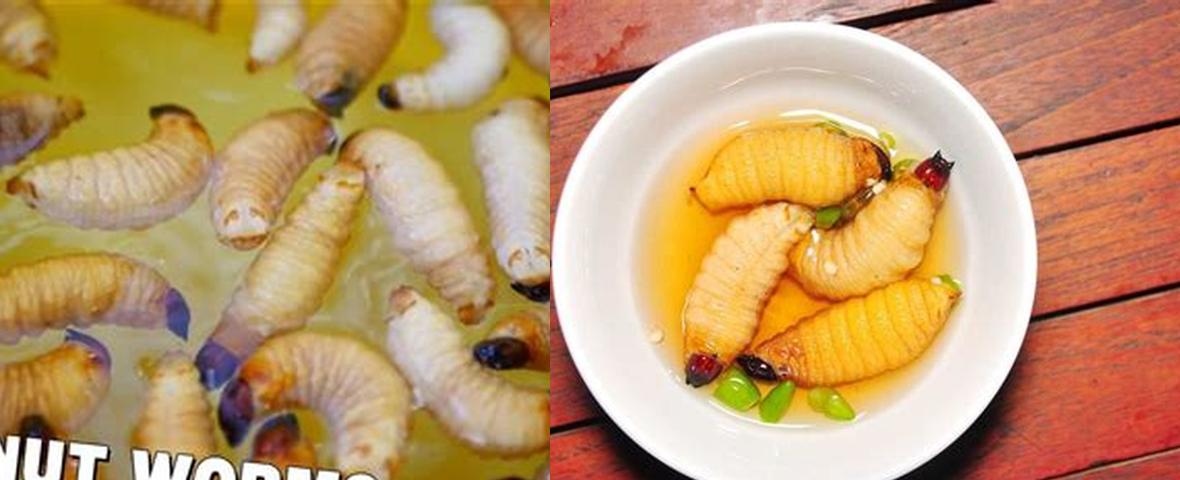 What Do Coconut Worms Taste Like? Discover the Unique Delicacy of ...