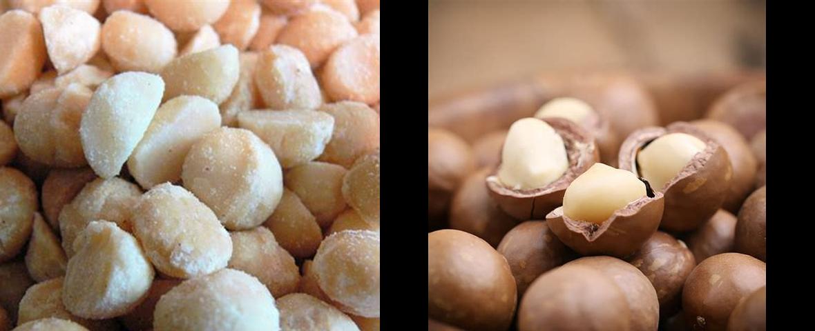 What Do Macadamia Nuts Taste Like? Discover the Exquisite Flavors and ...