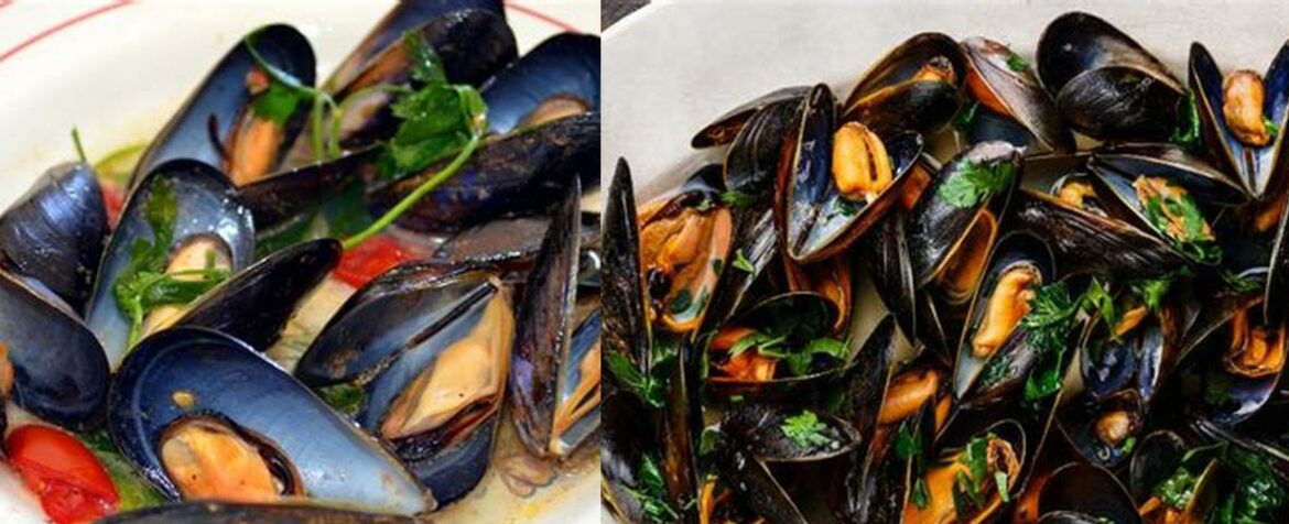 What Do Mussels Taste Like? Discover the Culinary Delight from the Sea ...