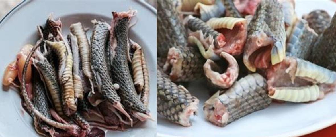 What Does Snake Taste Like? Exploring the Exotic Flavors of Snake Meat ...